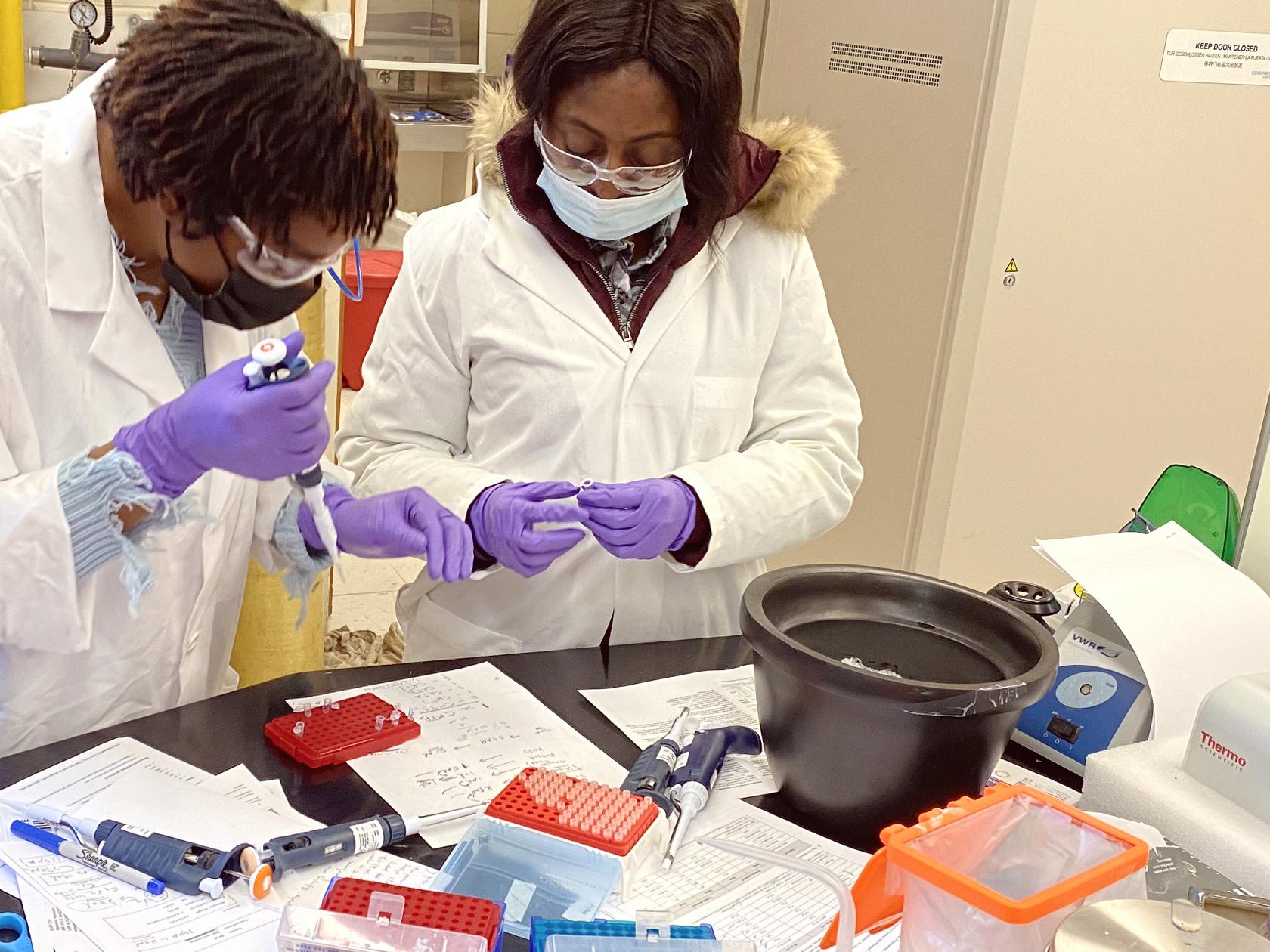 Food Biotechnology Lab | DSU College of Agriculture, Science & Technology