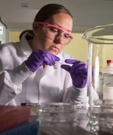 DSU College of Agriculture, Science & Technology