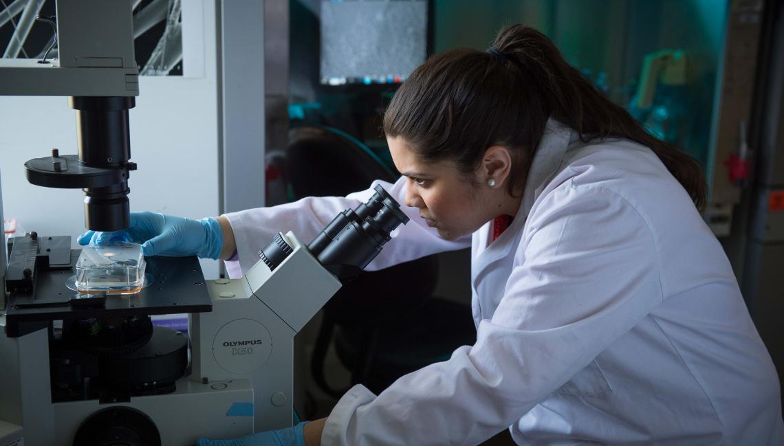 Department of Biological Sciences | DSU College of Agriculture, Science ...