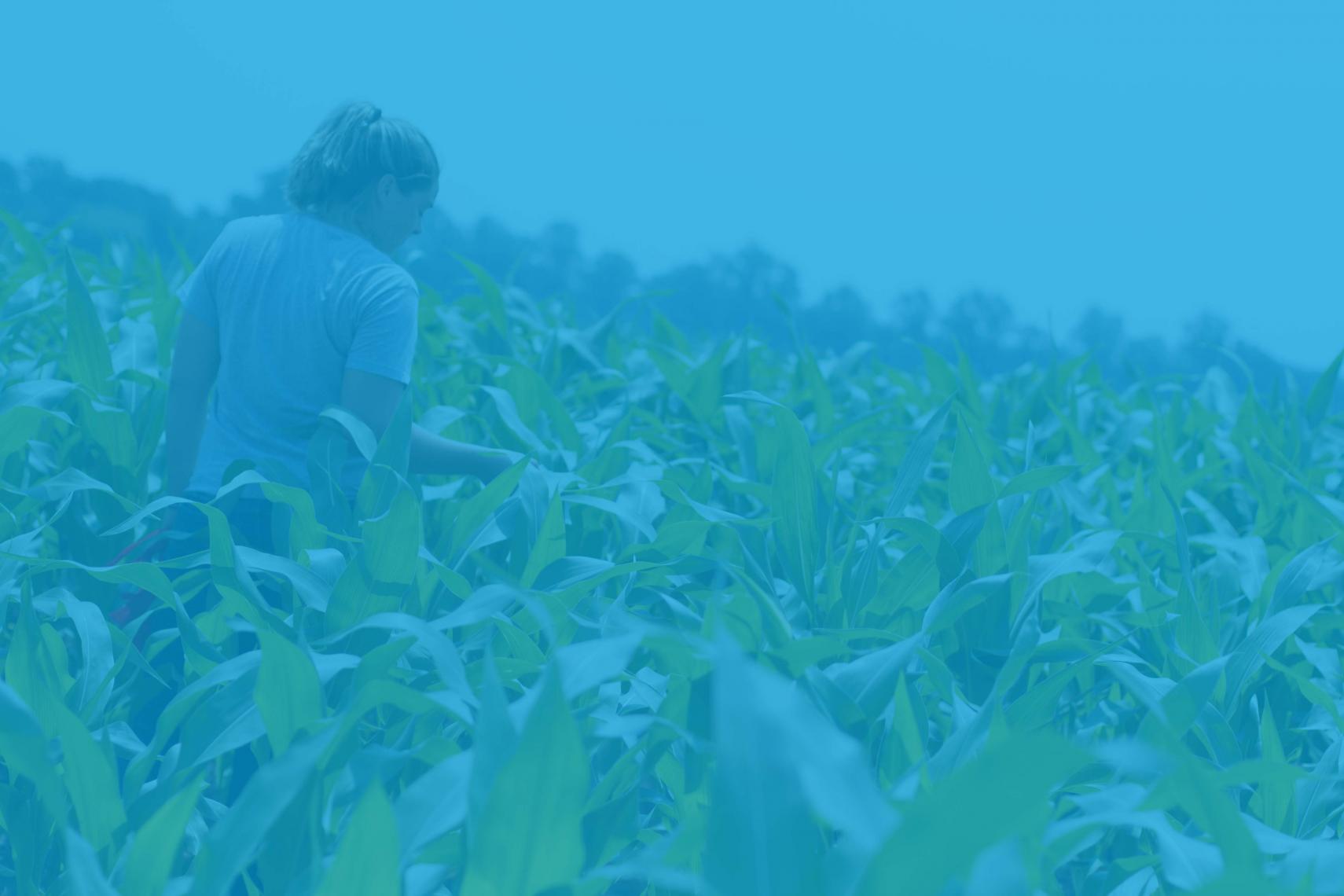 DSU College of Agriculture, Science & Technology